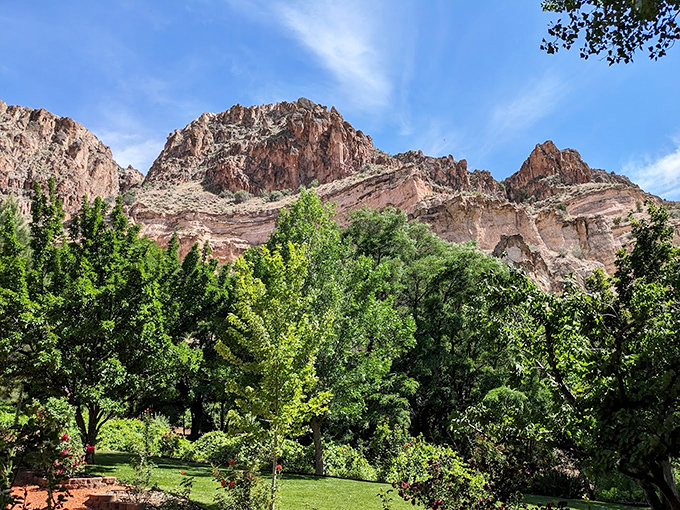 Kershaw-Ryan's lush oasis nestled beneath towering red cliffs—proof that Mother Nature occasionally likes to surprise us with impossible contrasts.