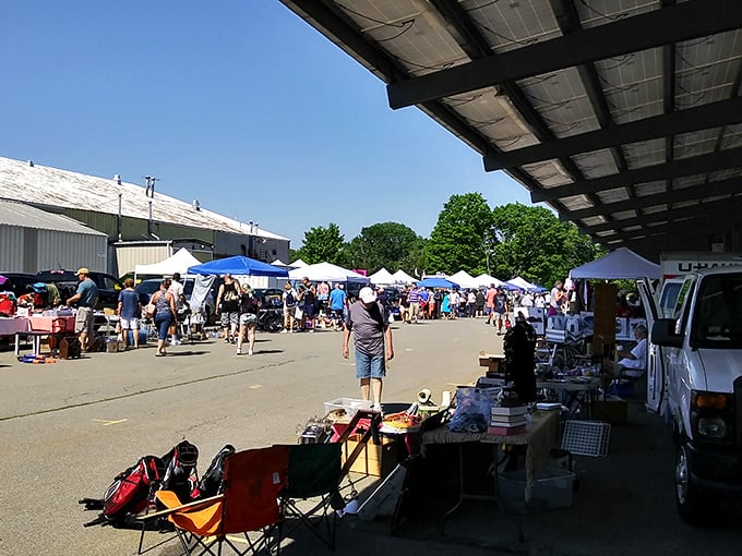 Inside Raynham Flea Market, every aisle promises possibility—from vintage lunchboxes to that lamp your grandmother once owned.