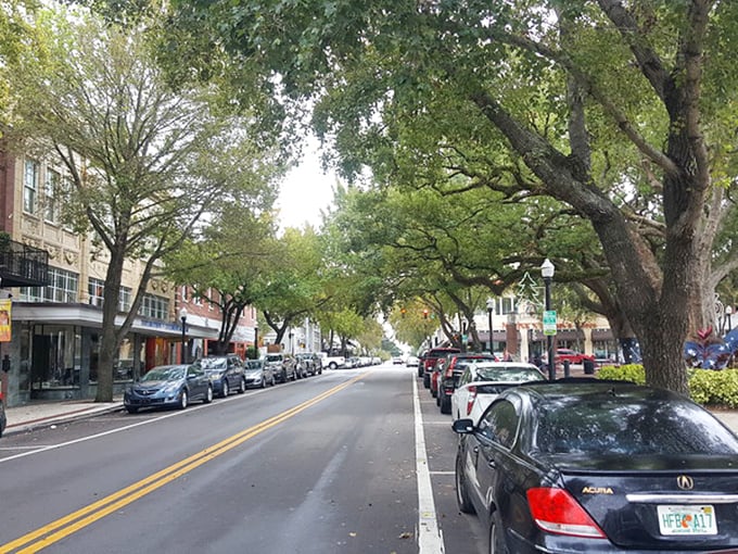 Lakeland's tree-lined main street offers that increasingly rare small-town feel where you might actually bump into someone you know at the local café.