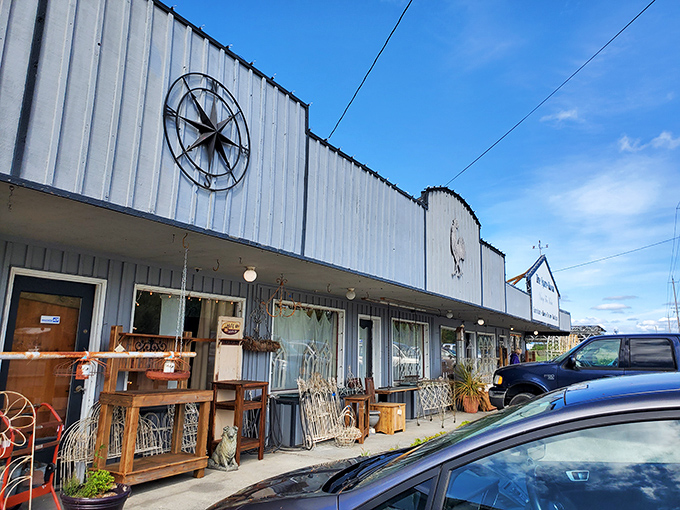 Time travel disguised as shopping! The Spare Room's carefully arranged booths offer glimpses into Washington's past through cherished antiques and collectibles.