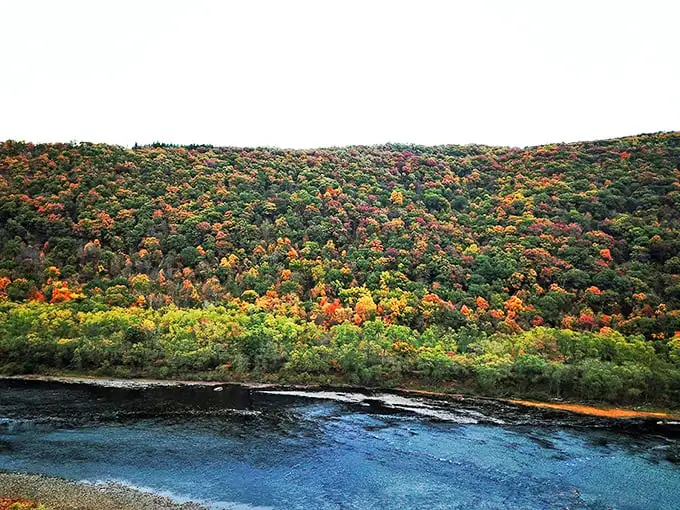 Fall in Pennsylvania isn't just a season—it's a Technicolor explosion. The hillsides along the Bucktail Byway make Vermont's famous foliage look like it needs new batteries.