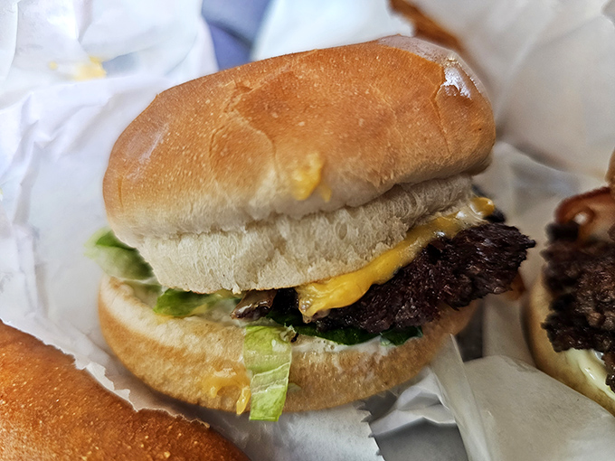 Behold the architecture of joy – a perfectly proportioned cheeseburger with the ideal ratio of meat to cheese to fresh, crisp lettuce.