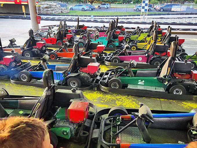 A rainbow armada of speed machines, each waiting for someone to channel their inner Mario Andretti.
