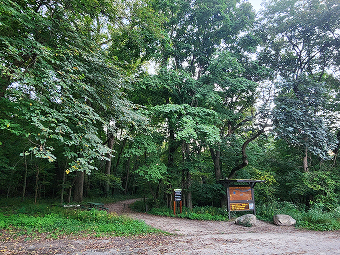 This trail entrance promises the kind of leafy escape that makes you forget your phone password—and reminds you why that's sometimes exactly what you need.