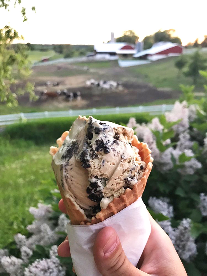 Cookies and cream taken to philosophical heights. If Oreos could dream, this is the afterlife they'd hope for.