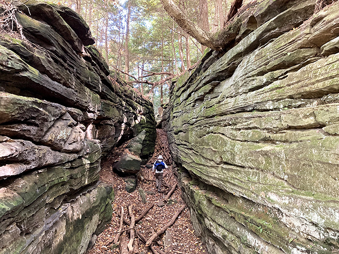 These ancient rock formations are like nature's skyscrapers – built over millions of years without a single construction delay or permit issue.
