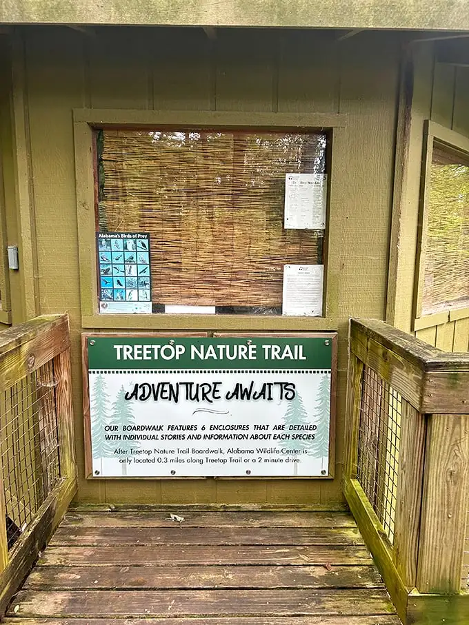 Adventure Awaits isn't just clever marketing—it's the genuine promise of six unique enclosures, each with stories more fascinating than most reality TV.