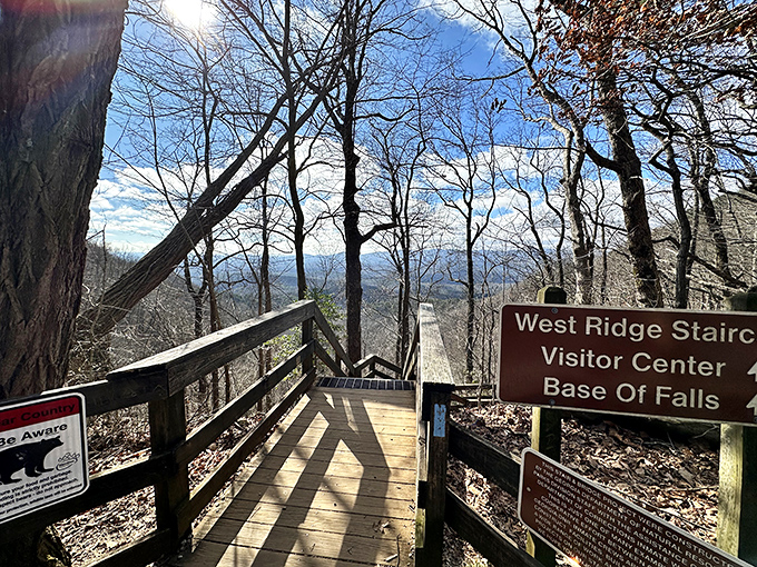 Winter strips the trees bare but reveals hidden mountain vistas. This wooden walkway doesn't just lead somewhere; it becomes part of the journey itself.