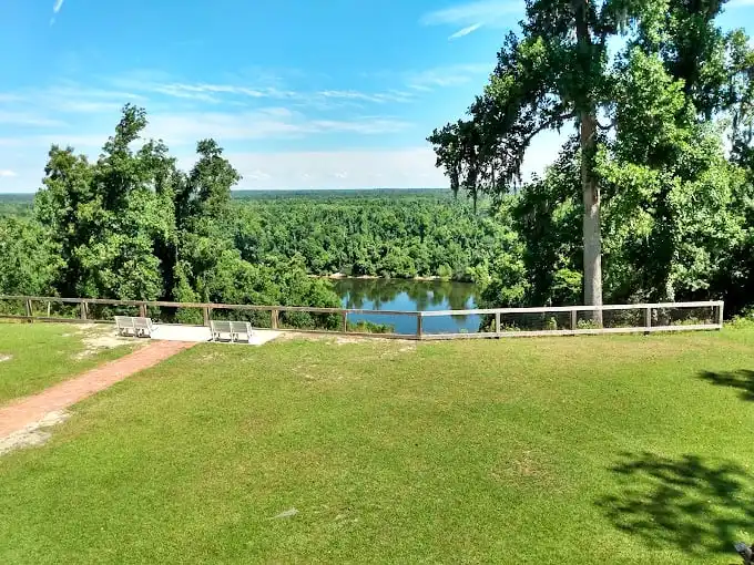 Not your average Florida postcard view. The bluffs overlooking the Apalachicola River offer a perspective that feels borrowed from another state entirely.