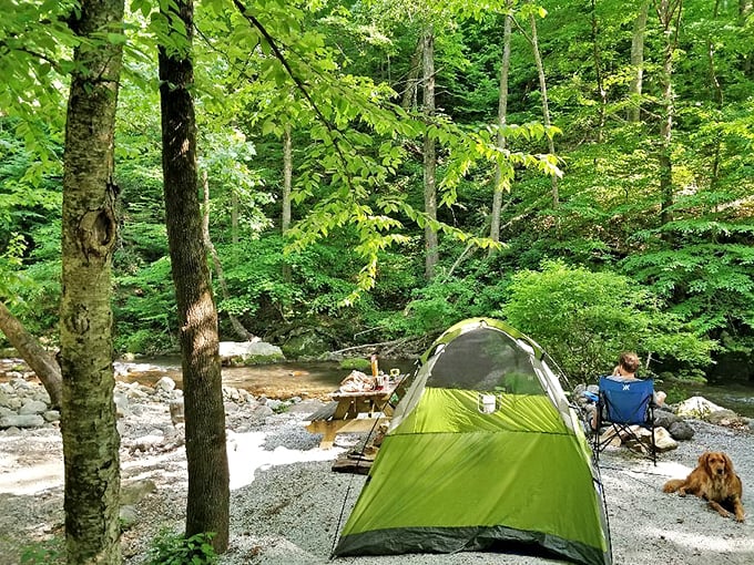 Streamside camping at its finest—where the babbling brook provides better white noise than that expensive machine gathering dust in your bedroom.