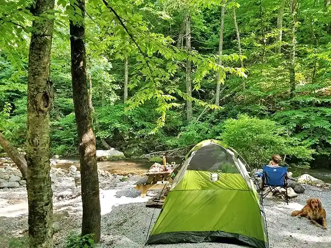 Streamside camping at its finest—where the babbling brook provides better white noise than that expensive machine gathering dust in your bedroom.