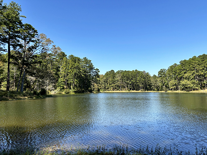 Golden Memorial's pristine waters invite you for a paddle. Serenity now, busy life later!