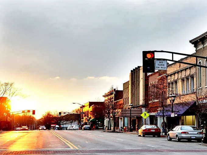 These tree-lined streets aren't just pretty – they're the pathways to some of Illinois' most affordable living for the Social Security crowd.
