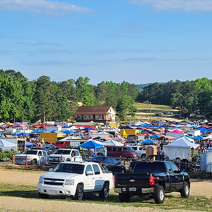Under clear blue skies, Mountain Top's sea of tents and trucks transforms ordinary shopping into an extraordinary adventure.