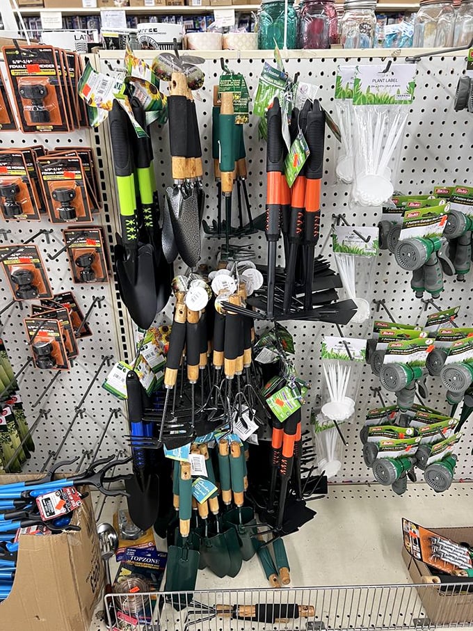 Garden tools that promise green thumbs and backyard bliss. The ergonomic handles practically whisper, "Yes, this time you'll actually finish that landscaping project."