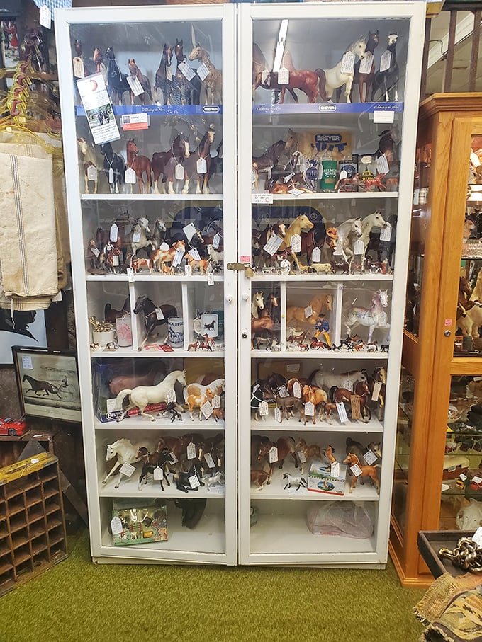 Horse country meets collector's paradise. In Ocala, even the miniature equines come with pedigrees and price tags.
