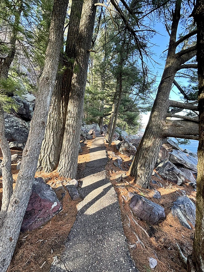 Dappled sunlight guides the way. Pine sentinels stand guard along this stretch where the trail weaves between lake and forest.