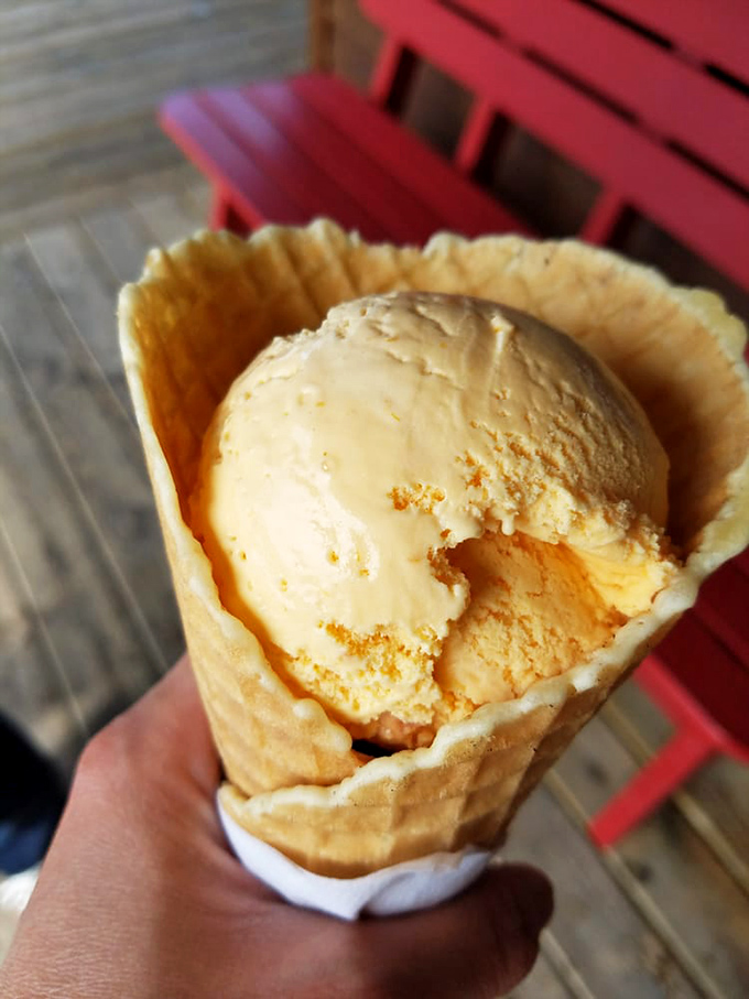 Ice cream that makes you question which is more delicious—the creamy confection or the pastoral Michigan landscape.