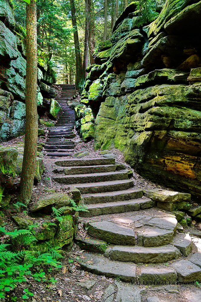 Stairway to heaven? Close enough. These moss-kissed stone steps lead through a portal where stress dissolves faster than an aspirin.