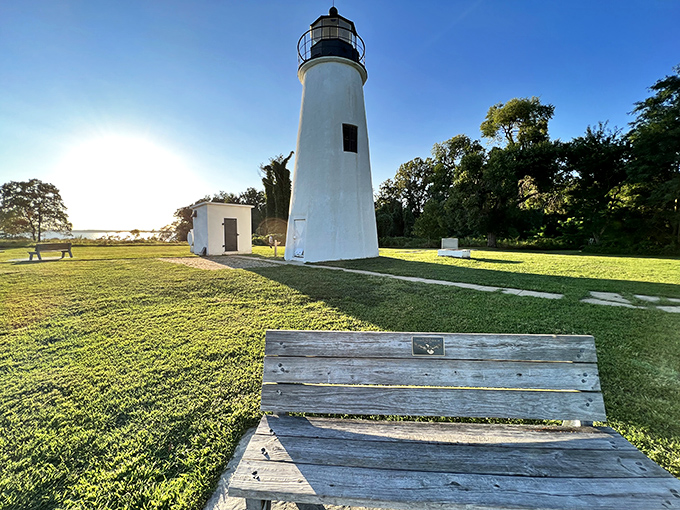 Turkey Point Lighthouse stands like a stalwart sentinel against time itself. This 1833 beacon still guides visitors to some of the bay's most spectacular views.