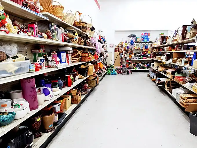 Every aisle tells a story—or several thousand. This isn't shopping; it's time travel through the collective memories of Denver's closets.