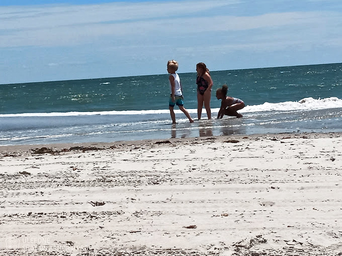 Children discovering the ocean's edge – where every wave is a surprise and every footprint a temporary signature.