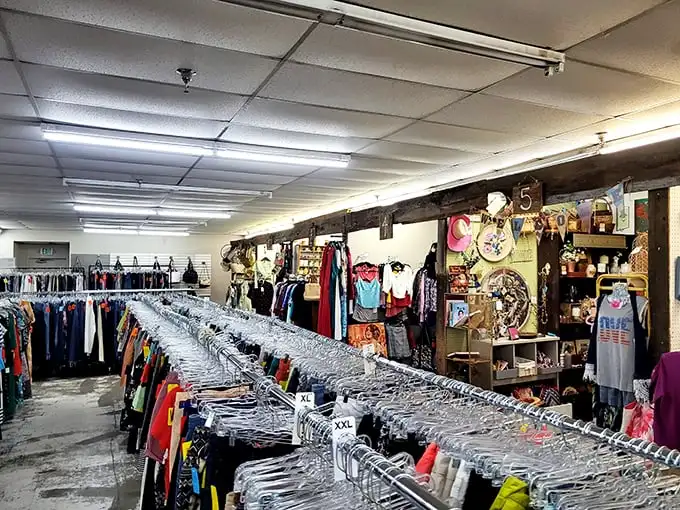 Clothing racks stretch to the horizon like a textile highway—each hanger a pit stop on your journey to personal style reinvention.