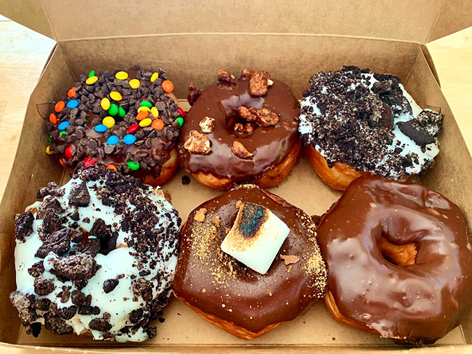 A half-dozen of pure joy—each one a different personality, like the cast of a sitcom where everyone's the funny one.