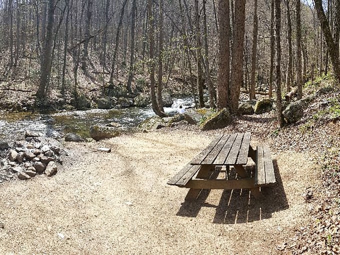 The perfect picnic spot awaits just steps from the rushing water, offering nature's soundtrack that no Spotify playlist could ever compete with.