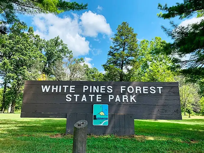 The entrance sign stands like a wooden welcome mat to Illinois' hidden northern woods. No ruby slippers needed for this magical forest.