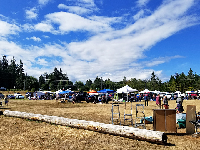 Who knew shopping could be this picturesque? Vintage finds and farm produce come together against stunning mountain views at this Sequim gem.