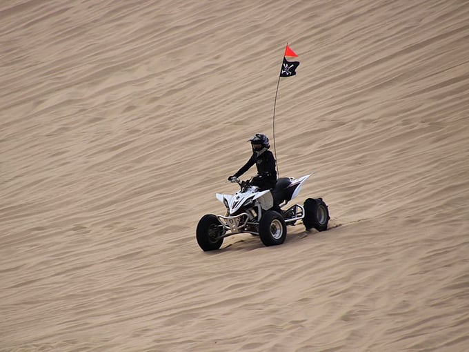 For the thrill-seekers, designated ATV areas near South Jetty offer a different kind of coastal experience—sand dunes become nature's roller coaster.