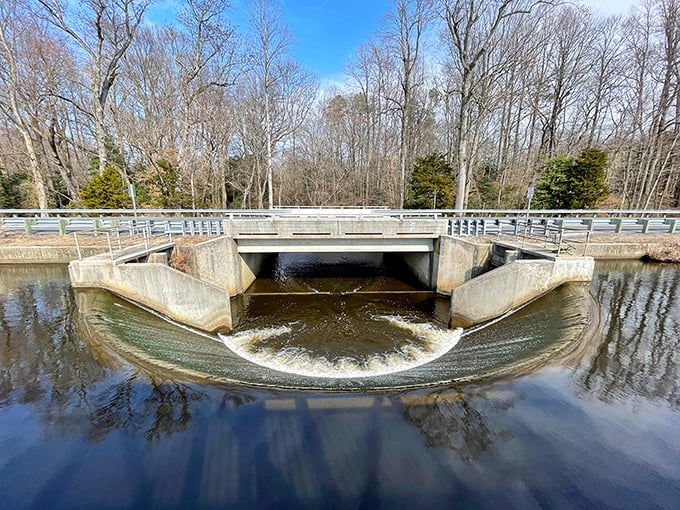 Water cascades over the dam in hypnotic patterns, nature's version of that meditation app you paid for but never use.