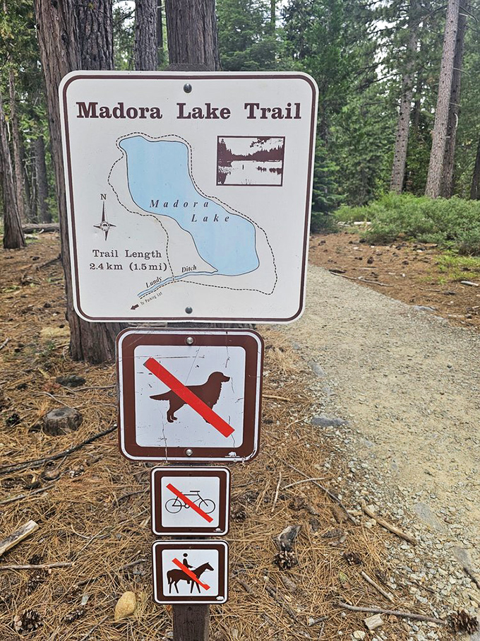 The Madora Lake Loop Trail sign – nature's version of a menu where every option leads to something wonderful, just leave Fido at home.