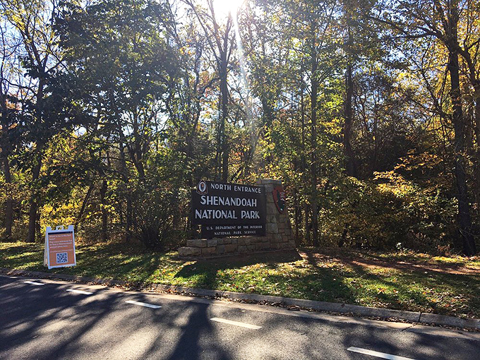 The entrance to another world. Shenandoah National Park doesn't just welcome visitors—it embraces them in 200,000 acres of natural splendor.