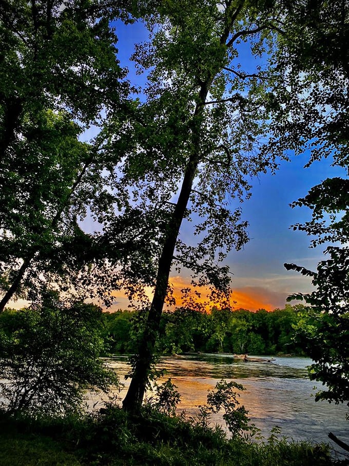 Sunset transforms the Catawba into liquid gold. This isn't Instagram-filtered reality—it's just South Carolina showing off again.