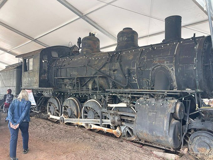 This preserved locomotive isn't just a museum piece—it's a massive metal storyteller recounting Madrid's coal-mining past to curious visitors.