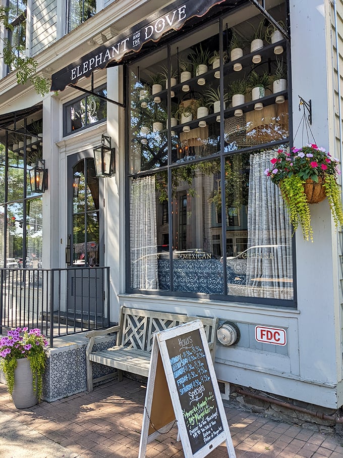 Elephant and Dove's elegant façade combines urbane sophistication with small-town warmth—the culinary equivalent of wearing a tuxedo with comfortable shoes.