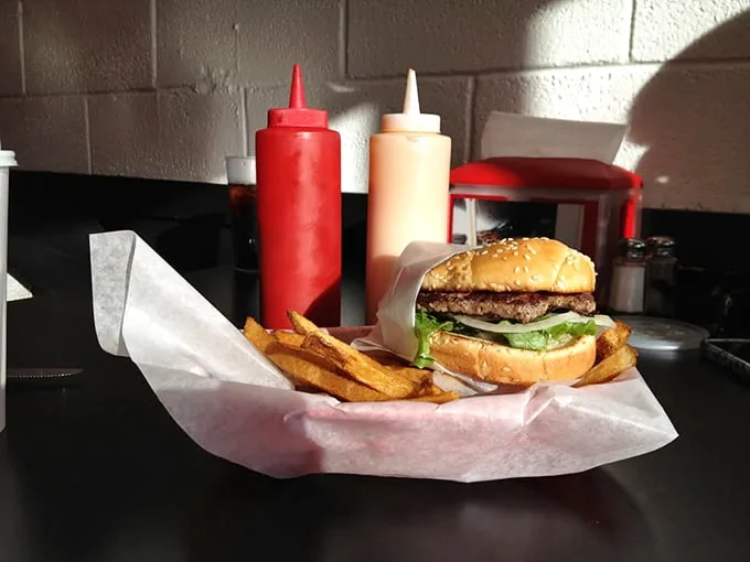 Behold the humble hamburger in its natural habitat—paper-wrapped, accompanied by golden fries, and completely judgment-free. 