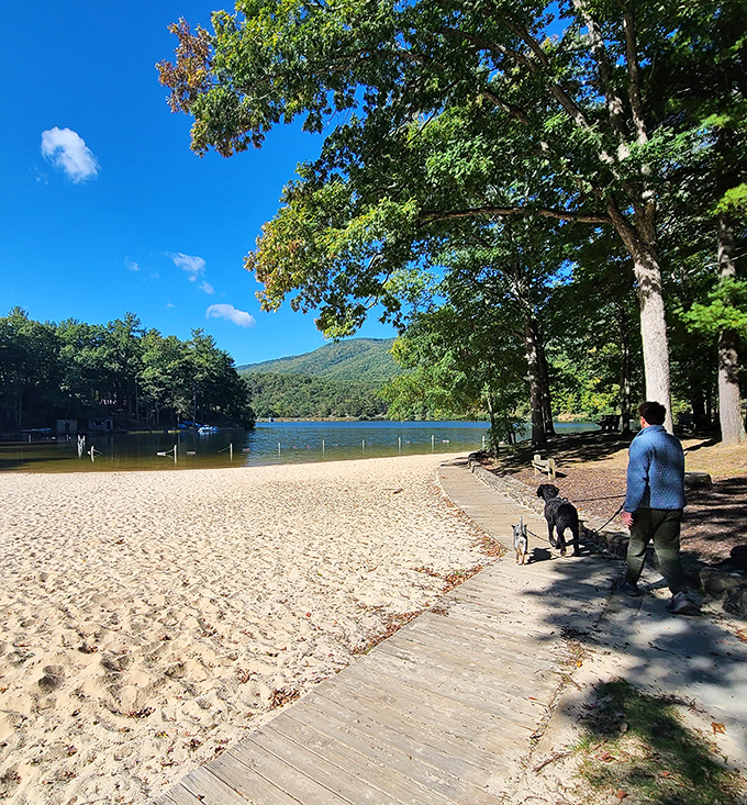 The beach-mountain combo: where you can build sandcastles while mountain peaks photobomb your vacation snapshots.