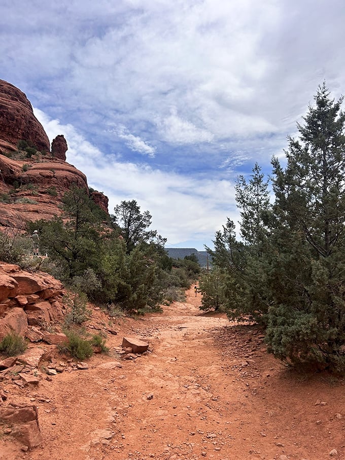 The path less photographed but equally magnificent. Juniper trees stand guard like nature's maître d's welcoming you to the show.