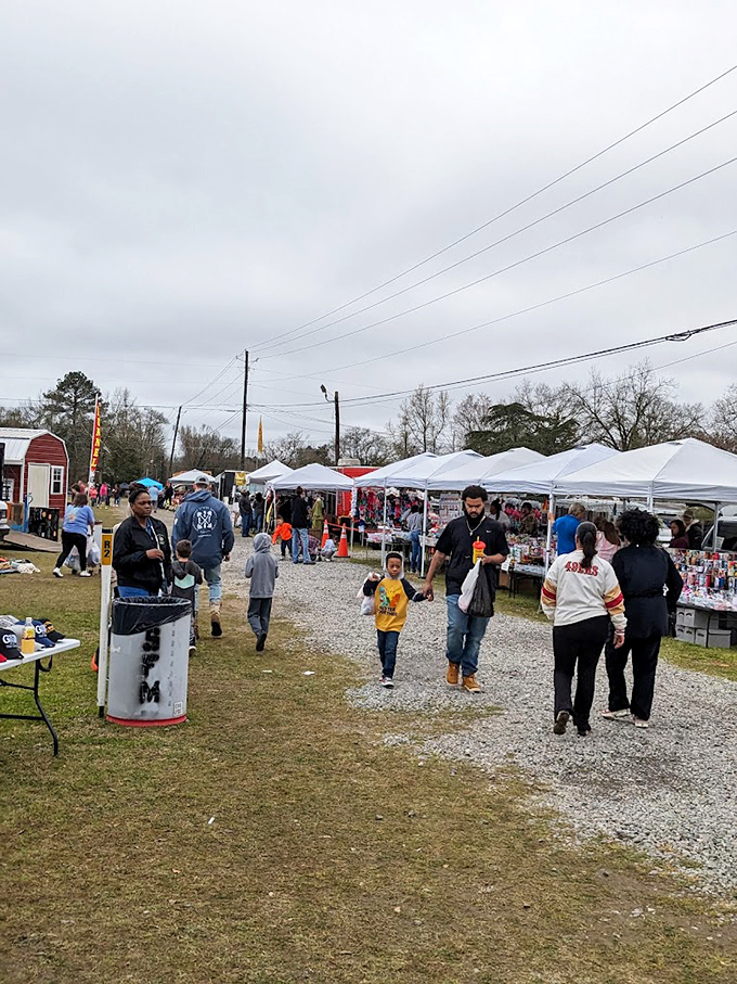 Santuck's bustling pathways fill with families hunting everything from snacks to souvenirs—weekend entertainment that won't break the bank.