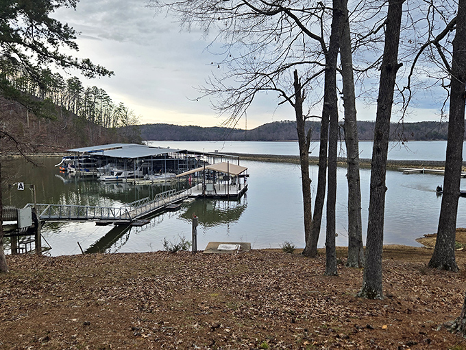 Lakeside bliss at J.P. Coleman State Park. That bench isn't just sitting there – it's inviting you to sit a spell.