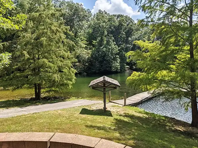 A lush green haven where trees frame the perfect lake view. Social media can wait – this demands to be enjoyed live.