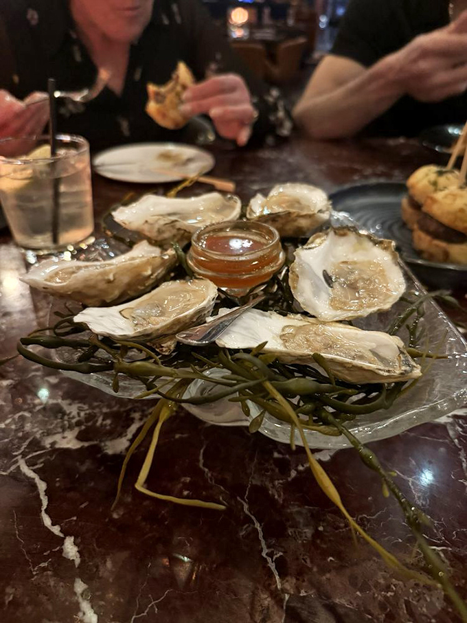 Fresh oysters nestled on seaweed—nature's perfect appetizer, requiring nothing more than a squeeze of citrus and a moment of gratitude.