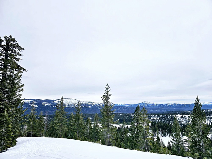 Winter transforms Plumas-Eureka into a snow globe come to life. The silence of snow-covered pines makes city noise feel like a distant memory.