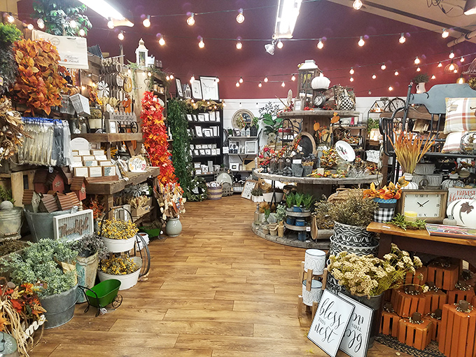 The home décor section feels like wandering through your stylish aunt's farmhouse—where every item tells a story and begs to come home with you.