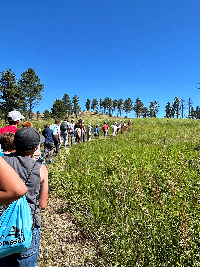The unofficial Norwesca hiking club in action. Nothing builds community like collectively gasping at unexpected Nebraska beauty.