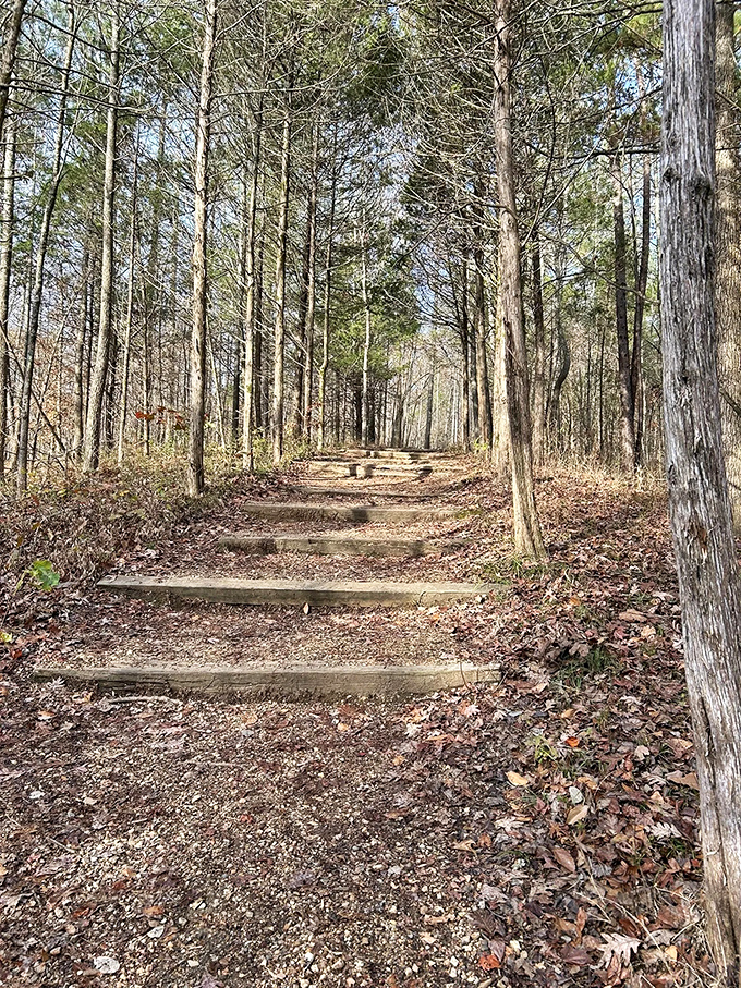 These humble wooden steps are literally the stairway to heaven for nature lovers—each riser bringing you closer to panoramic bliss.