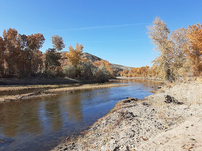 The Carson River flows past Fort Churchill like a timeline—connecting past to present while cottonwoods provide shade just as they did for 19th-century soldiers.